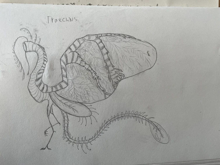 The Gastric Gacha with true “organic” creatures (fan gacha and ...