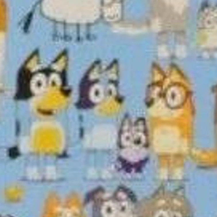 Bluey's child without the blaster revealed | Fandom