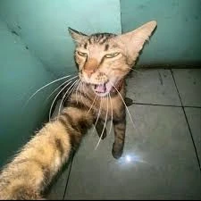 guess who woke up at 1pm and didnt go to school!1!! | Fandom