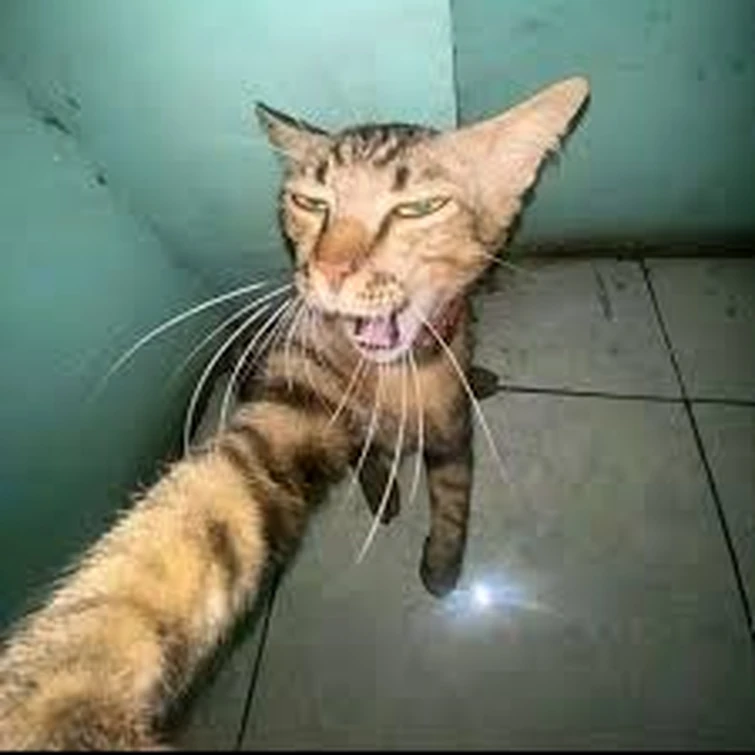 guess who woke up at 1pm and didnt go to school!1!! | Fandom