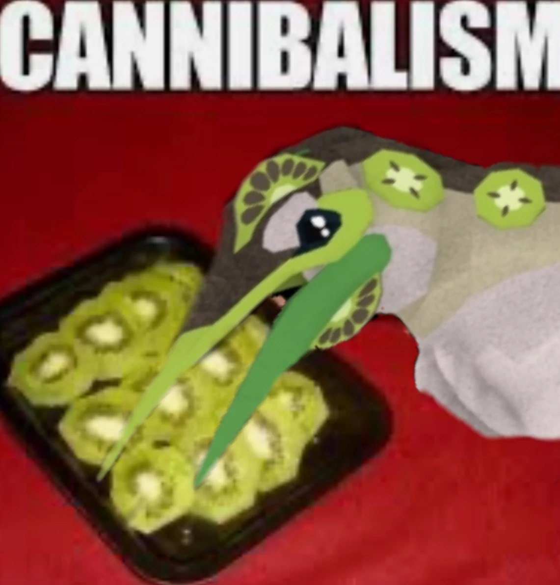 „Kiiwin, that are your kids and not food.. Kiiwin…. KIIWIN-“ | Fandom