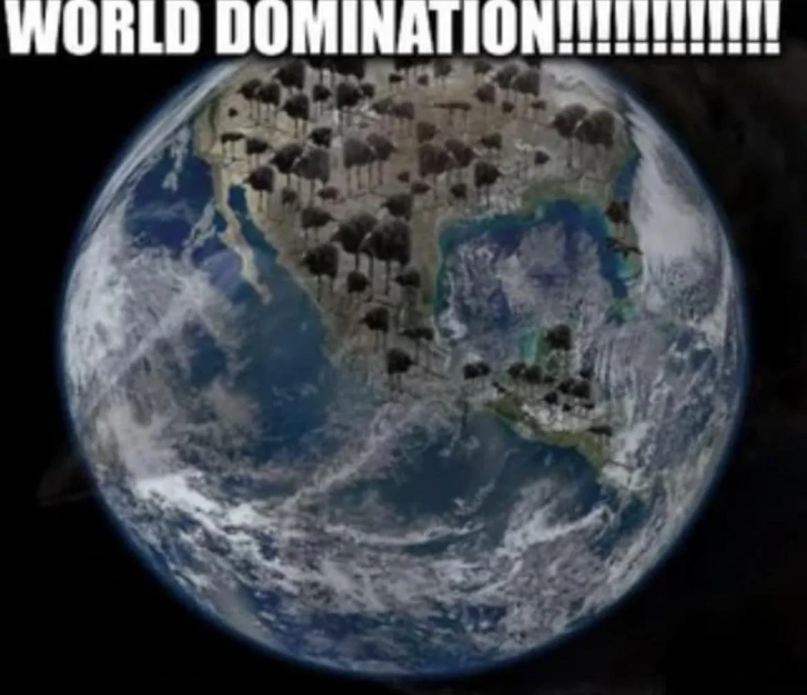world domination | Fandom