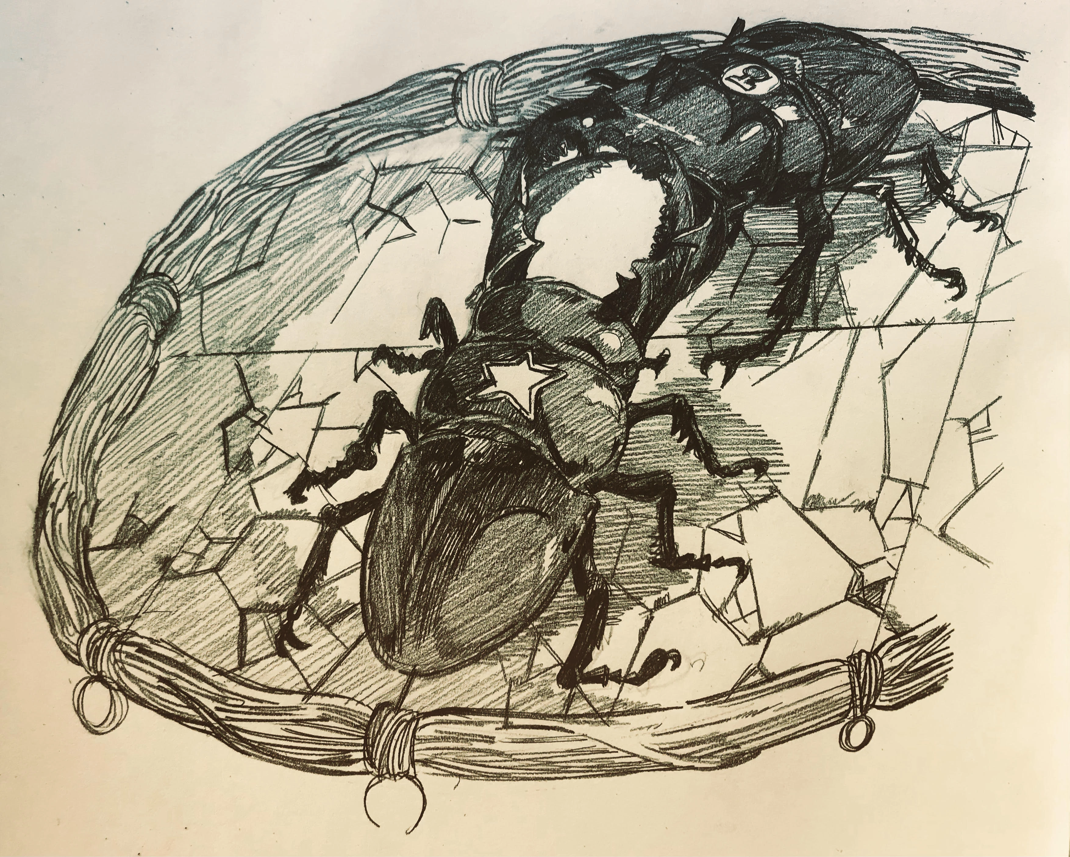 Beetle Battle hehe :P | Fandom