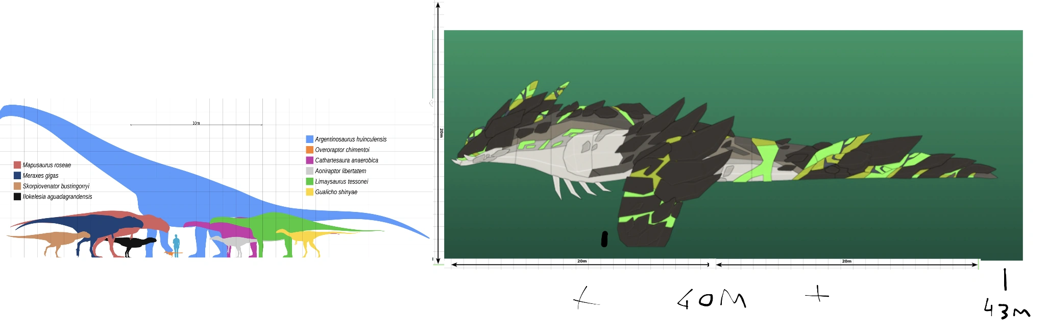 Gnolrok in comparison to Argentinosaurus, some theropods, other ...