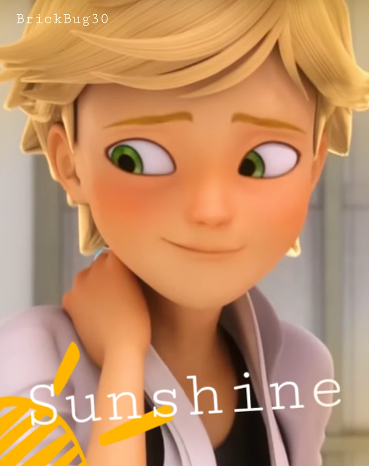 Ladrien, Ladybug, and Adrien icons | Fandom