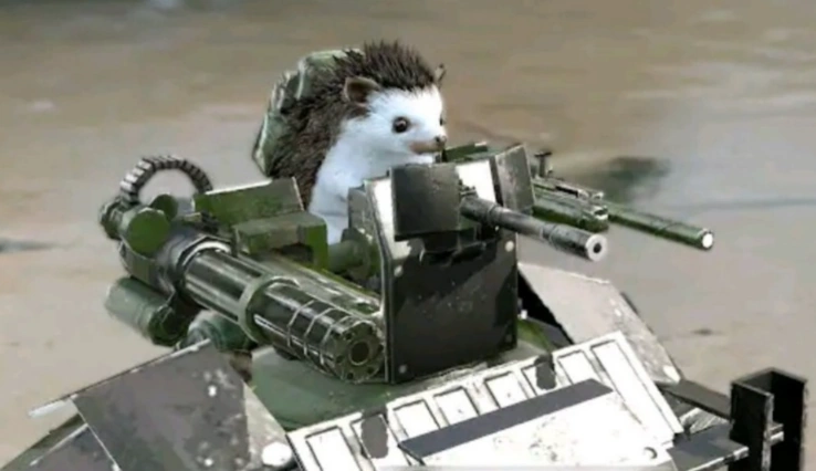 Hedgehog in a tank | Fandom