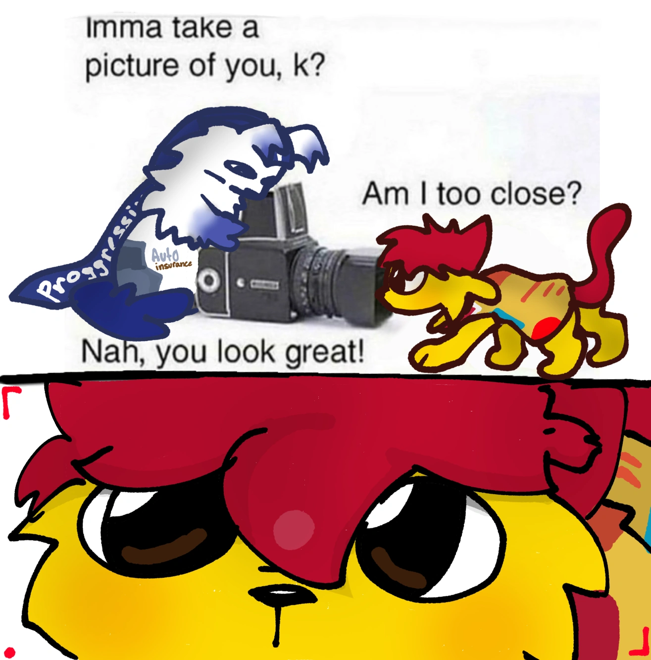 Funny mascot animals | Fandom