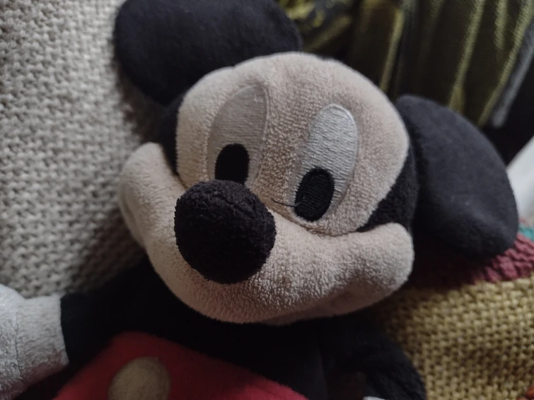 My Mickey Mouse plush. | Fandom