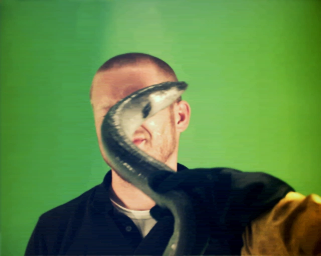 Slap a dude with an eel | Fandom