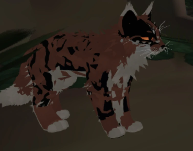 Warrior Cats / MHA | Fandom
