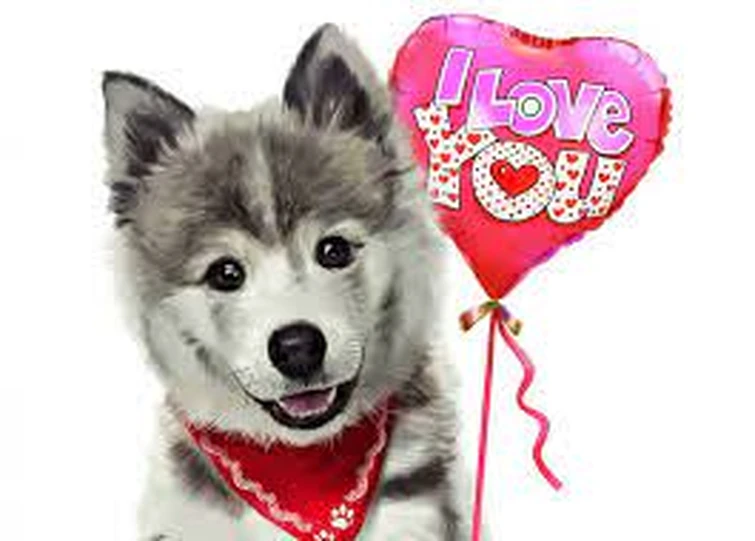 Happy Valentine day! Have this! | Fandom