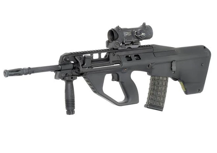 Would you like to see EF88 Austeyr in BRM5? | Fandom