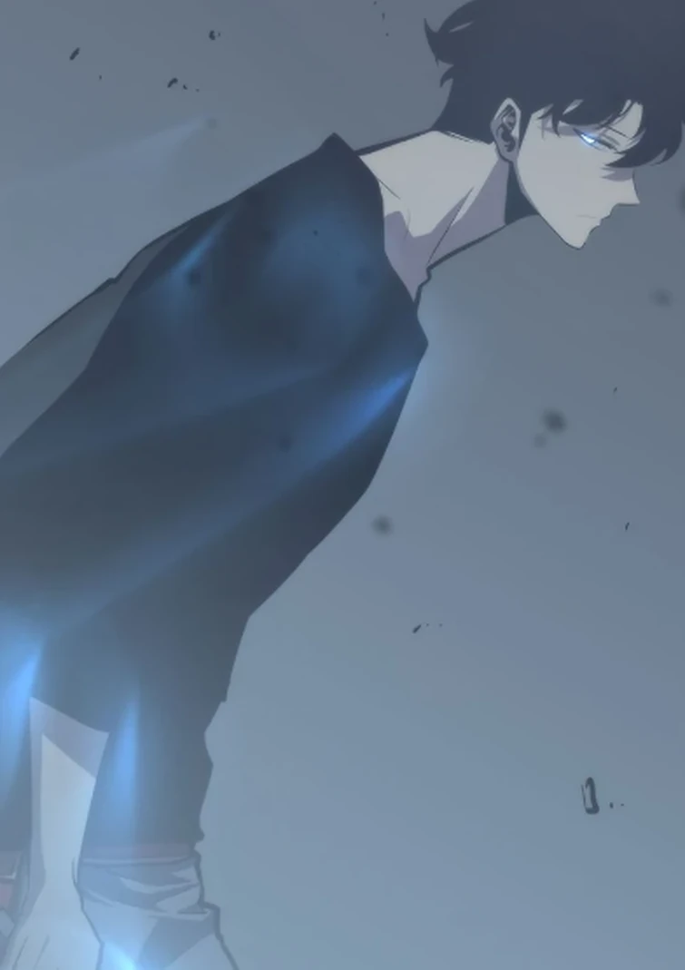 SJW Concept -from Solo Leveling | Fandom