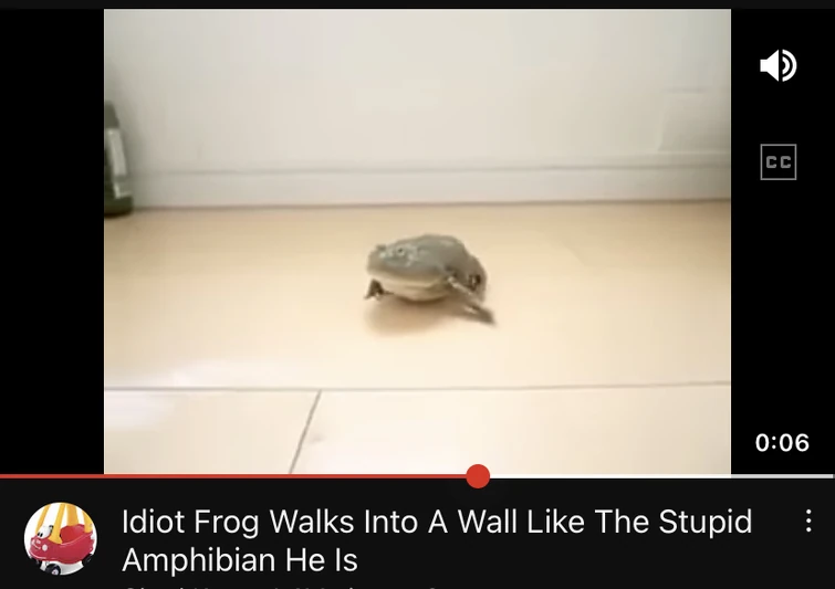 So rude to this frog 😡 | Fandom