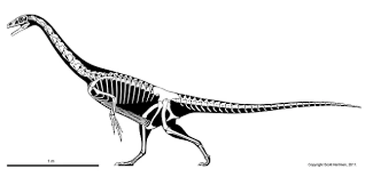 Mesozoic and Paleozoic Pokemon Region:Part 3(Grass Starter) | Fandom