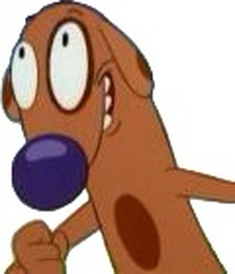 Dog in no background | Fandom