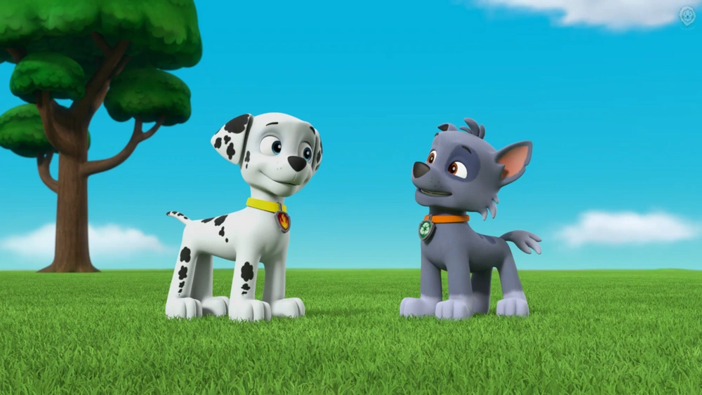 Favorite qualities of Marshall, Rocky and Zuma. | Fandom