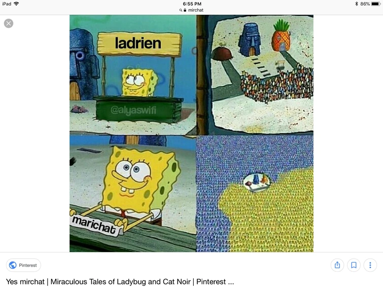 Look how many fans are their for ladrien and for mirchat | Fandom
