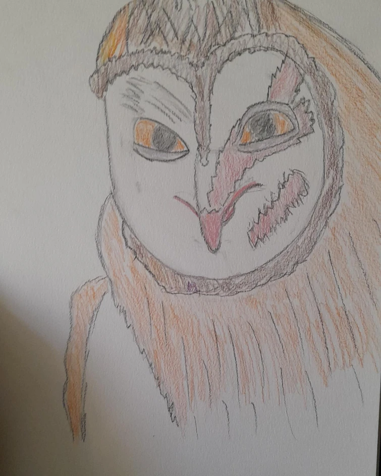 Kludd from Legend of the Guardians | Fandom