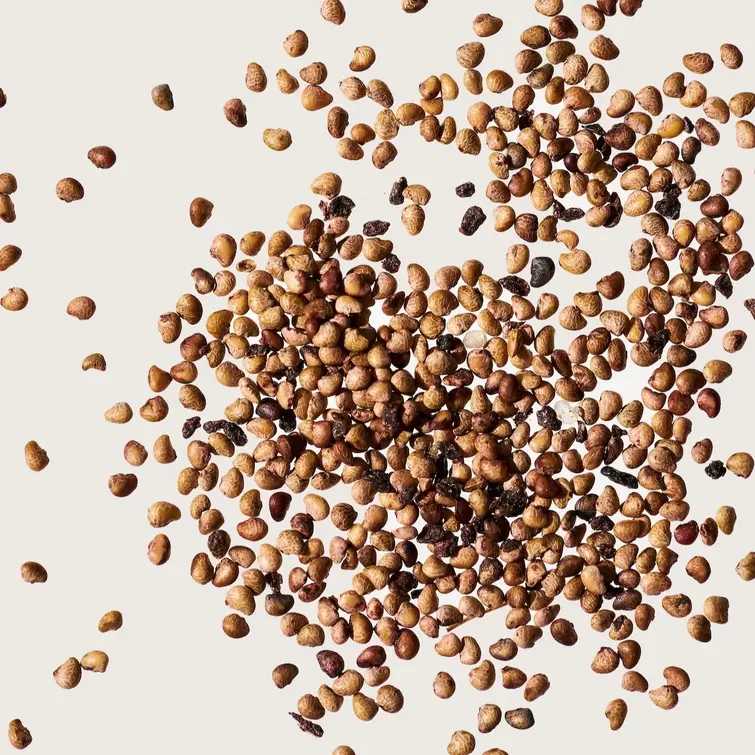 Sprout Baby HC | Fandom