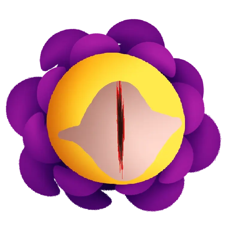 Discuss Everything About Grace Wiki | Fandom