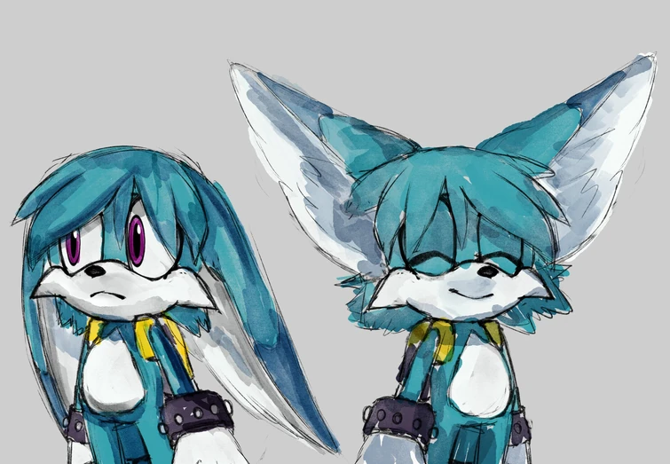 An very Happy kit the fennec | Fandom