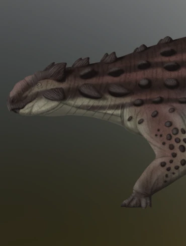 Discuss Everything About Dinopedia | Fandom