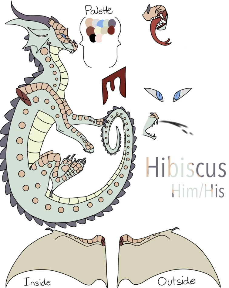 ||THE ROYAL RAINWING SELECTION||SIGN-UP THREAD||OPEN UNTIL RP THREAD IS ...