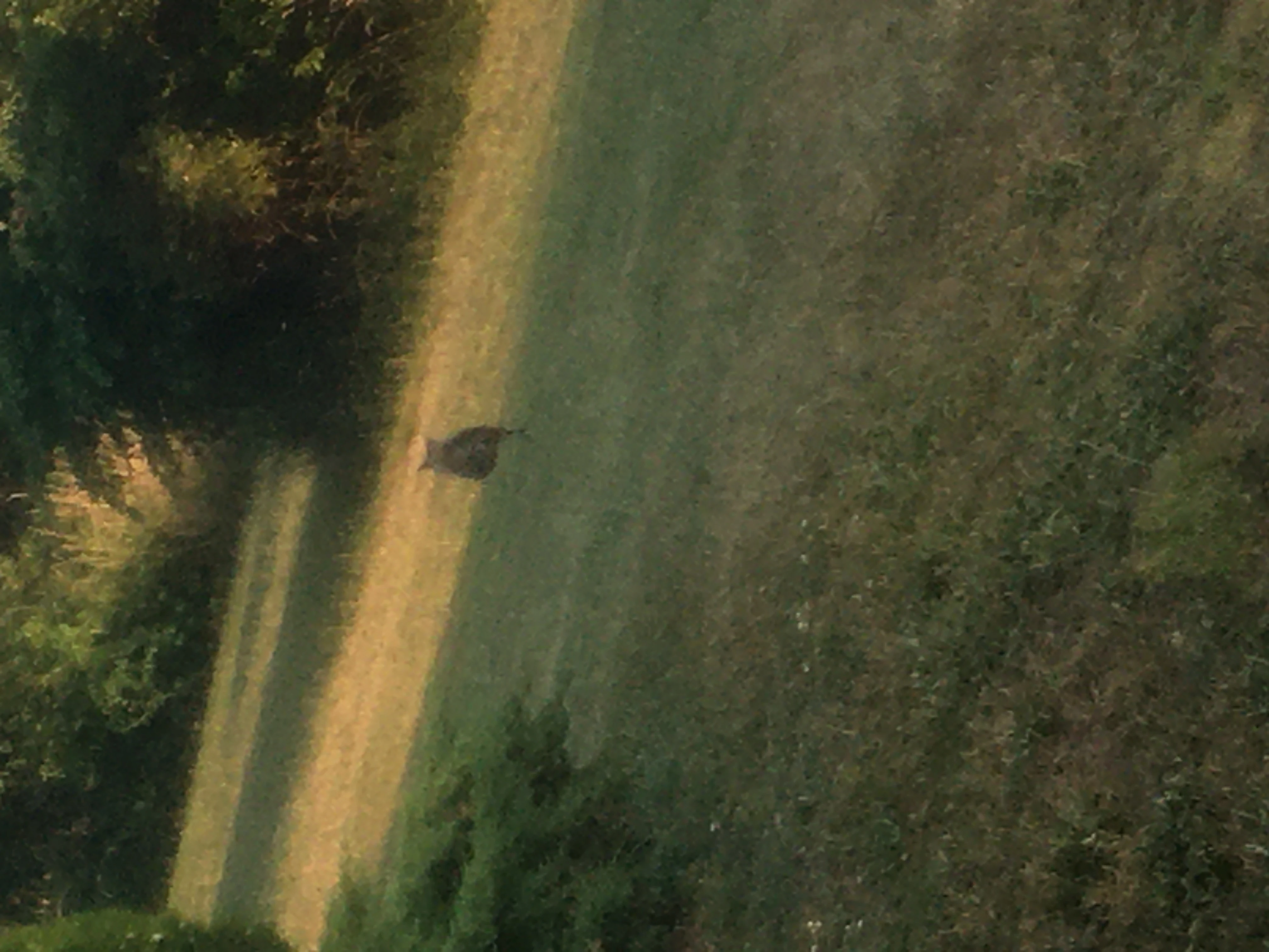 IMPORTANT ANNOUNCEMENT | Fandom