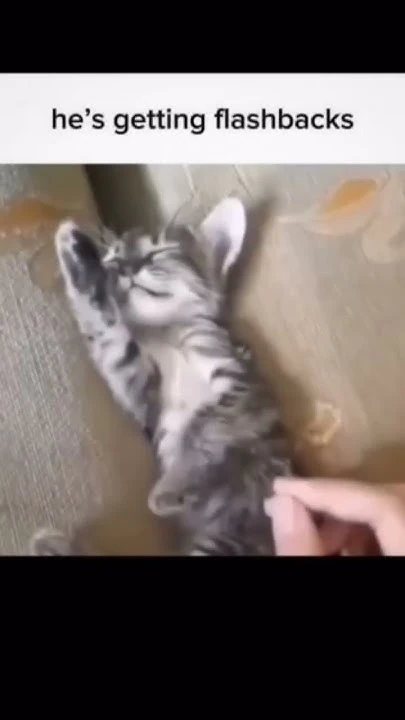 Hes getting flashbacks | Fandom