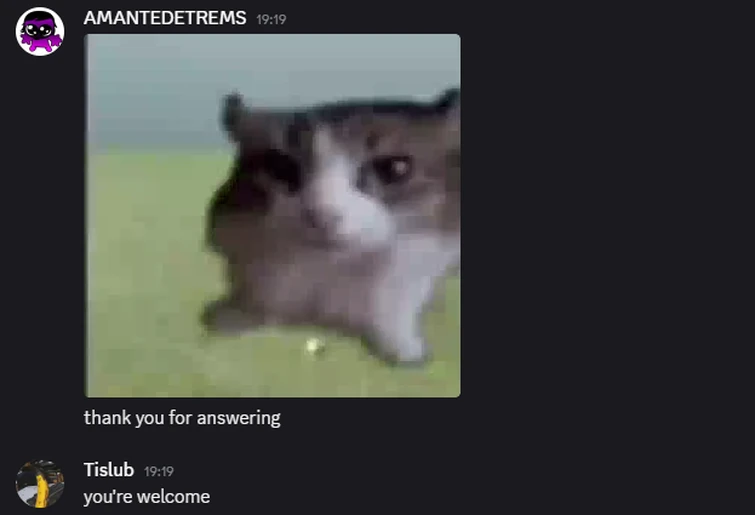 I got answers from tislub | Fandom