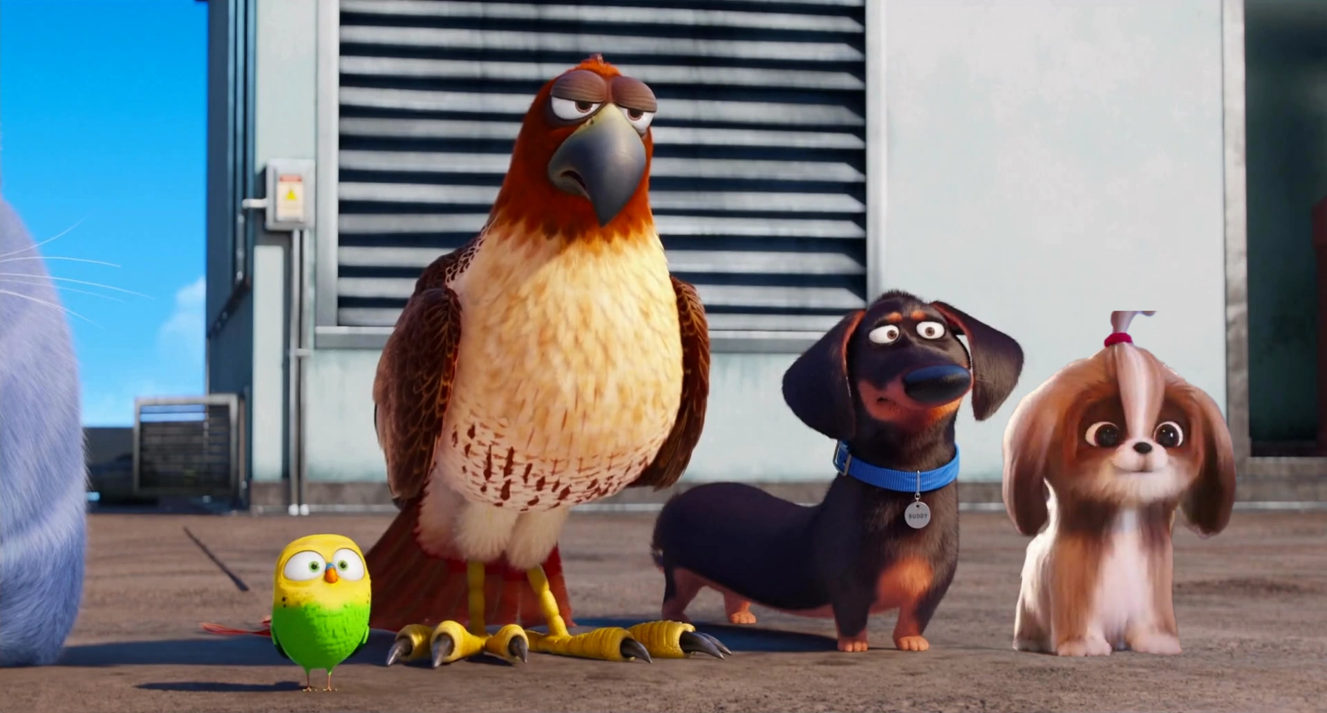 Daisy with Tiberius, Buddy and Sweetpea in a scene of the first "The ...