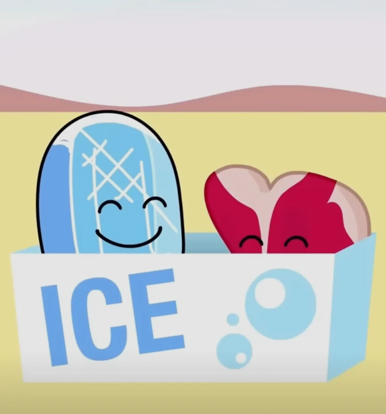 Popsicle again! | Fandom