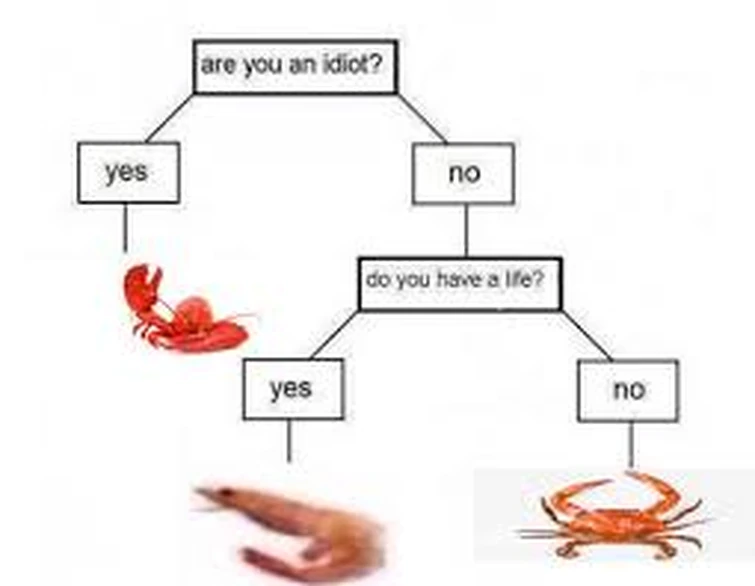 SHRIMP MEMES | Fandom