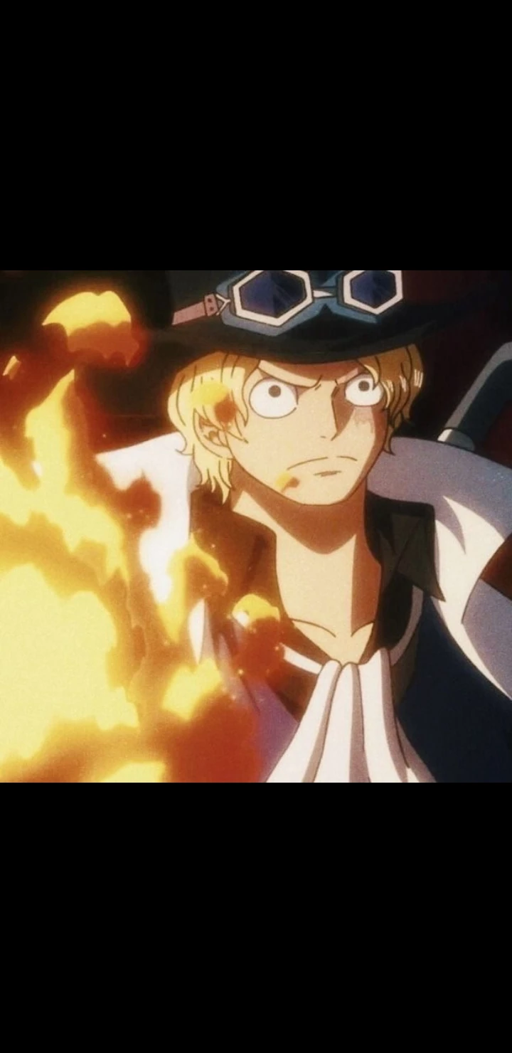 What happened to Sabo | Fandom