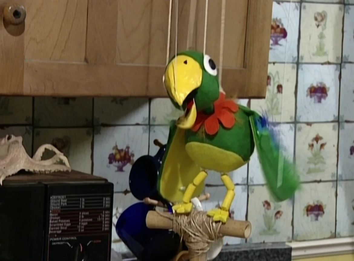 Sometimes Potty’s legs drive me crazy and I do not know why | Fandom