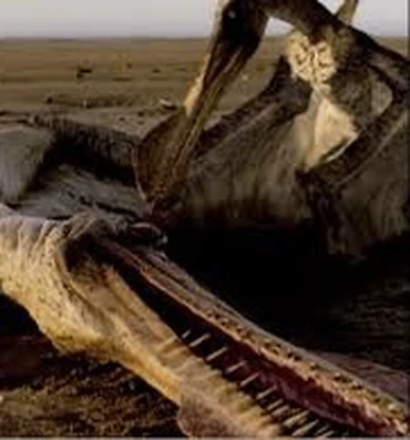 Saddest Death in Walking With Dinosaurs? | Fandom