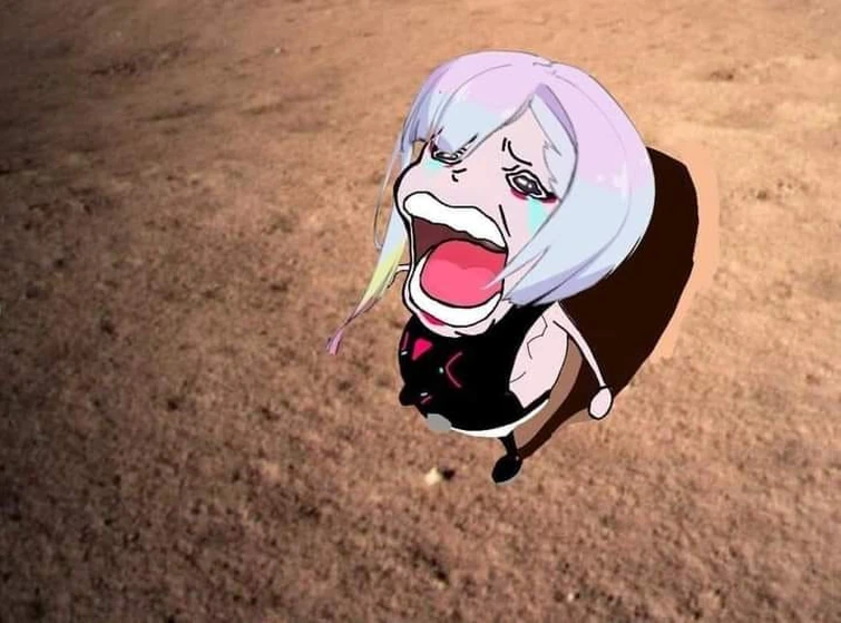 Les ha gustado los memes recientes de One piece? | Fandom