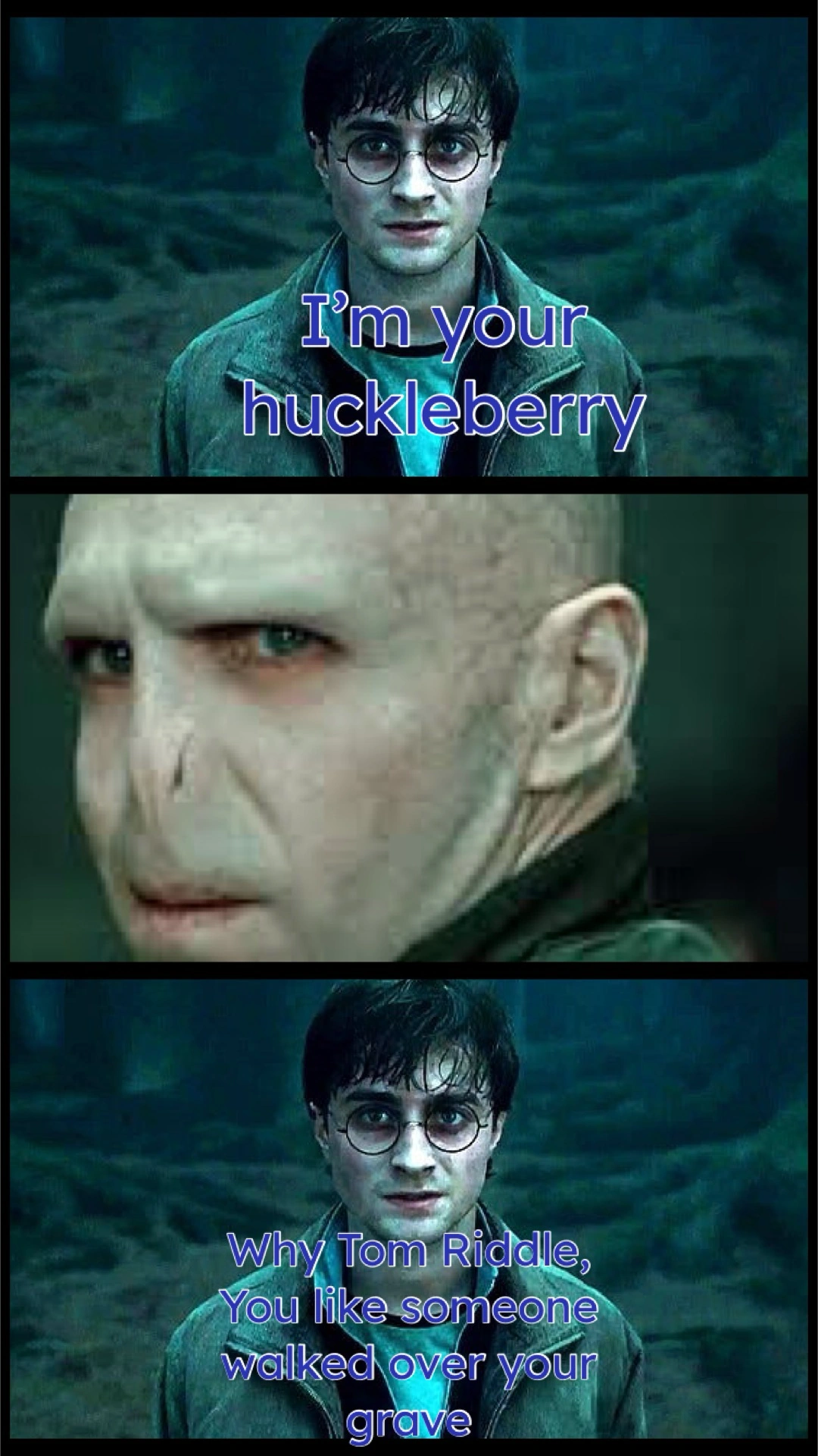 Harry is Voldemort’s Huckleberry | Fandom