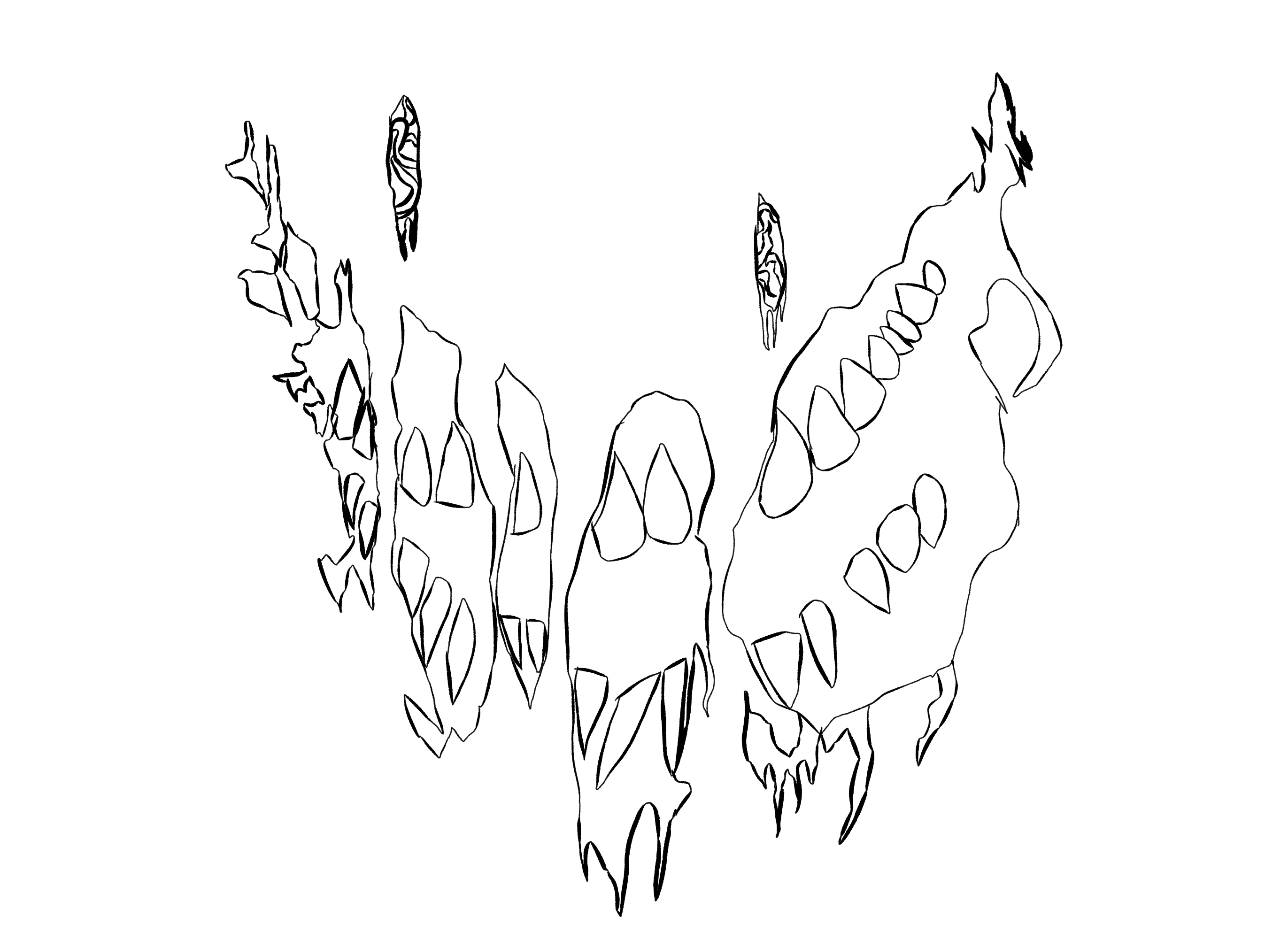 Changed my pfp back | Fandom