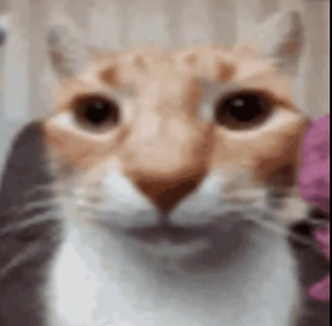 hey gangy gang gangalicious gangaroo do you guys like my new artstyle ...