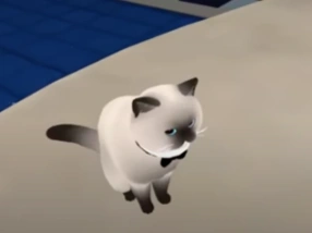 suns unnamed cat | Fandom