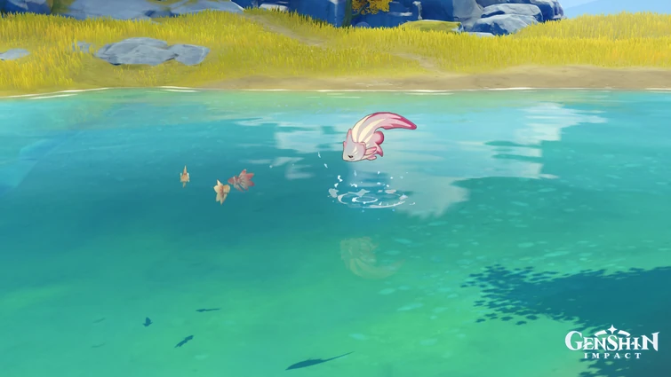 Discuss Everything About Genshin Impact Wiki | Fandom