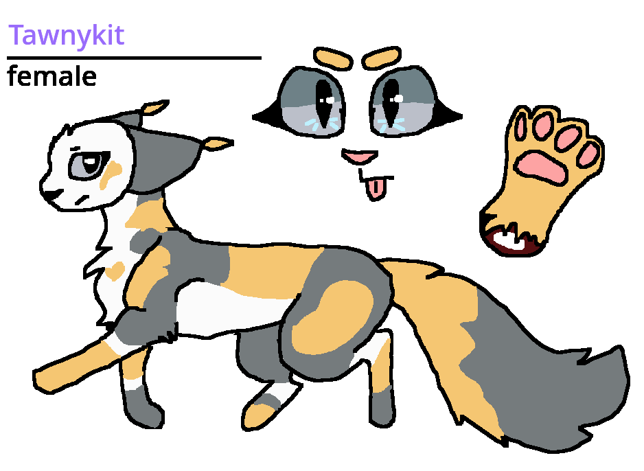 Tawnypaw | A Better Way Wiki | Fandom