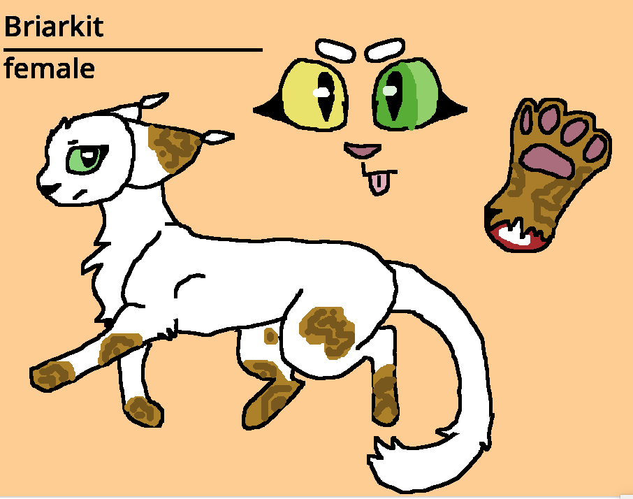 Briarpaw | A Better Way Wiki | Fandom