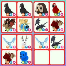 trading rich inv B) | Fandom