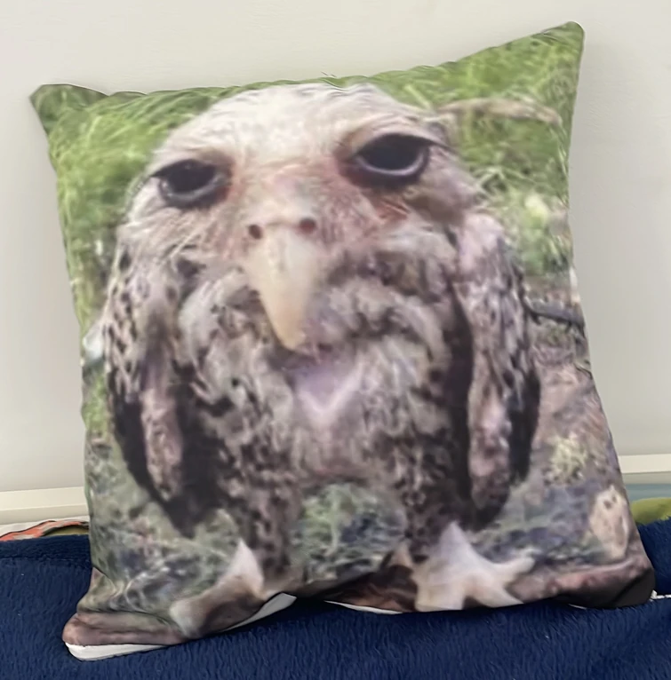 smelvin pillow | Fandom