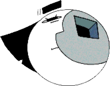 Discuss Everything About ENA Wiki | Fandom