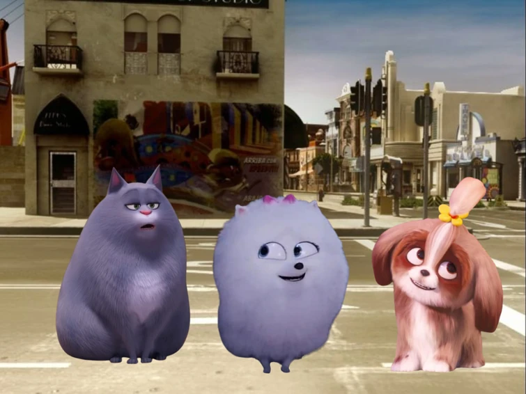 Universal Kids City - Gidget, Daisy And Chloe Are Walking Down The ...