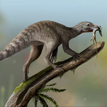 Discuss Everything About Dinopedia | Fandom